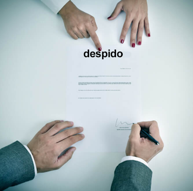Despido Disciplinario ¿cuáles Son Las Principales Causas